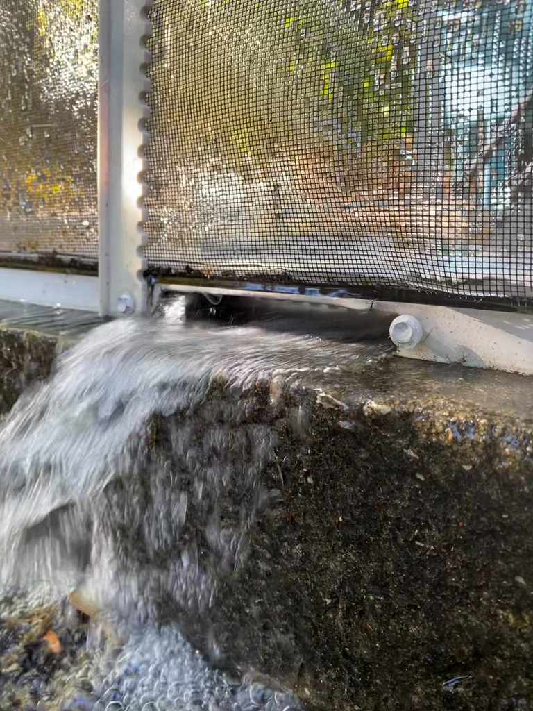 PestGuard WaterGate® – Drain Smart. Live Clean. – Pool Cage Drains